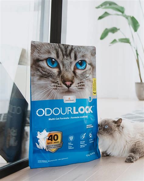 Premium Dust Free Cat Litter Odourlock Intersand