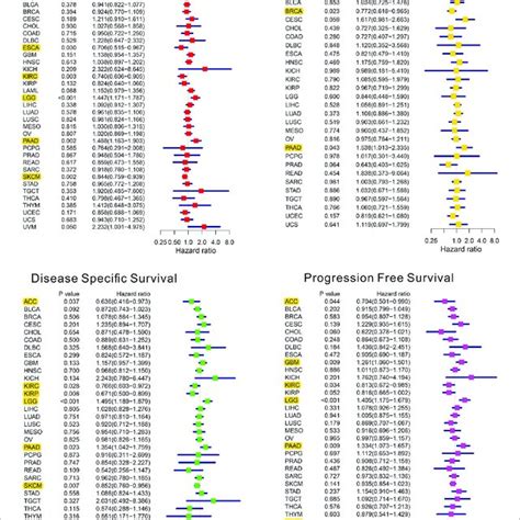 The Forest Plots Of Univariate Cox Regression Analyses The Highlight