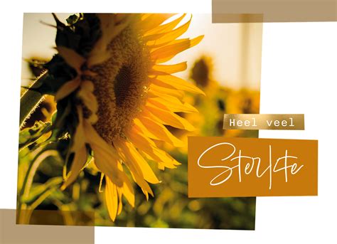 Sterkte Kaart Zonnebloem Hallmark