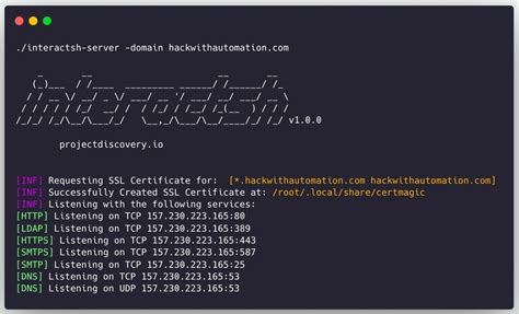 Hackgit On Twitter Interactsh Open Source Tool For Detecting Out Of