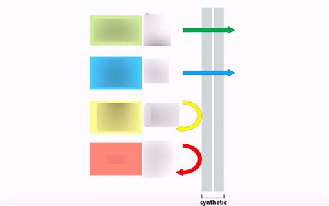 Selectively Permeable Membrane Diagram Quizlet