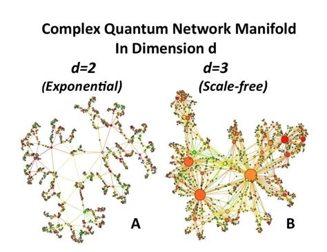 Understanding Of Complex Networks Could Help Unify Gravity And Quantum