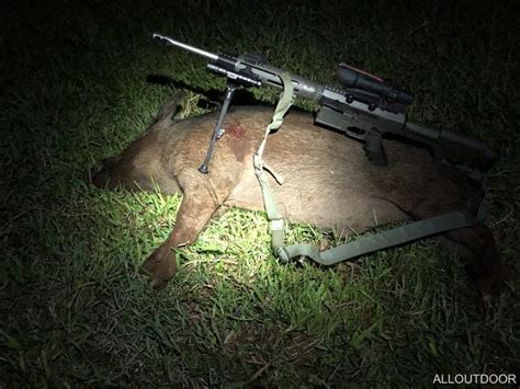 Potd Jp Enterprises Lrp 07 Brings Home The Bacon From Hawaii