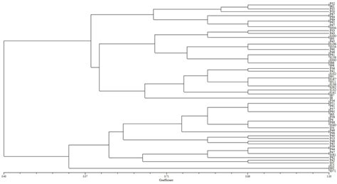 Phenetic Dendrogram For Campylobacter Strains Isolated From Chicken Download Scientific Diagram