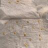 Ultimate Guide To Germinating Seeds In Paper Towel Plants Craze