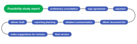 Introduction To Feasibility Study Report Manufacturer And Supplier Tannet