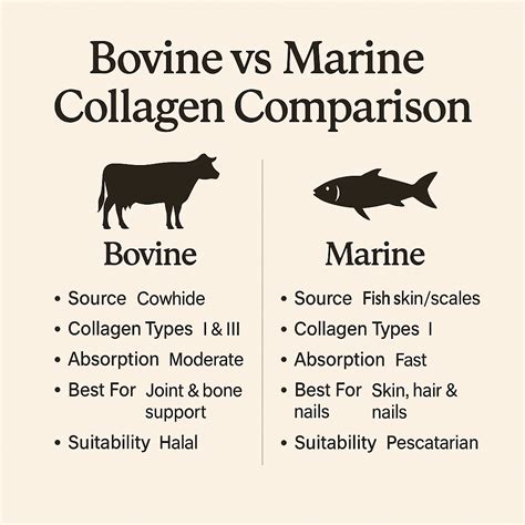 Understanding Collagen Types Bovine Vs Marine And How To Choose The R