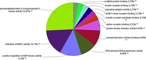 Pie Chart Of The Percentage Of Terms Per Group On The Download Scientific Diagram