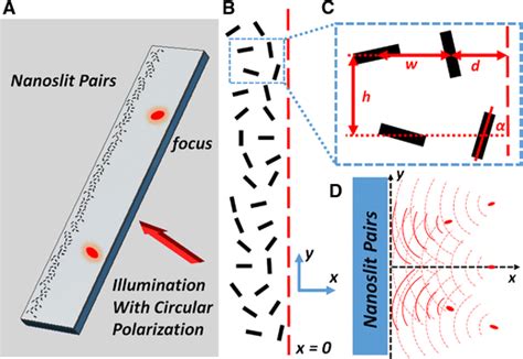 A Principle Of The Polarization Controlled Tunable Multi Focal Download Scientific Diagram