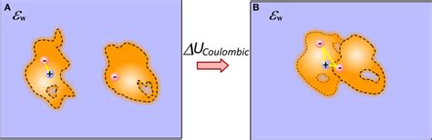 Schematic Presentation Of Electrostatic Interactions Between Two