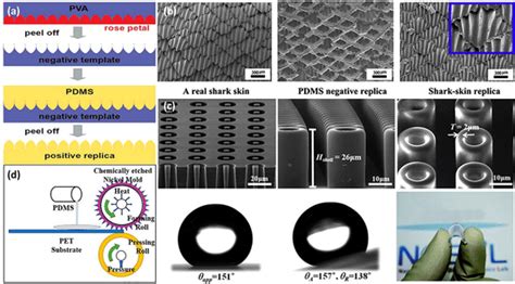 Illustration Of The Soft Lithography Process And Fabrication Of Download Scientific Diagram