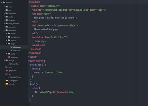 AdoNuxt Project Template For Nuxt Js With Adonis Js Vue Js Feed