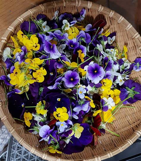 설렘봄날의꽃 언제나 당신을 기억할께요 편히 쉬세요 보고싶고 그리운 마음을 봉안당리스로 주문제작되는 상품이니 봉안당 가로 세로 길이 확인후 주문