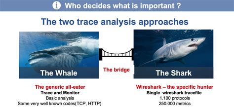 only 2 very limiting trace analysis approaches