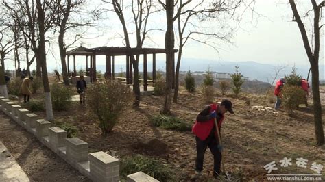 中梁镇开展国土绿化 提升人居环境 图 天水在线