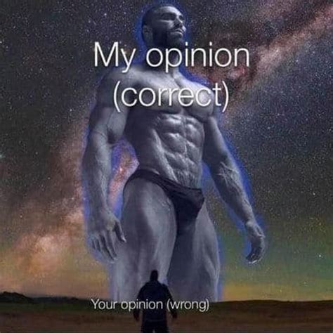 My Opinion Correct Vs Your Opinion Wrong Funny Memes Funny