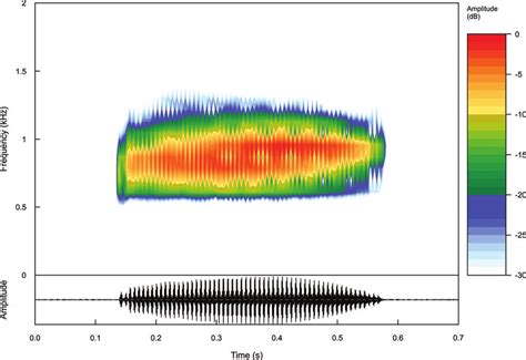 A Spectrogram And B Oscillogram Of The Advertisement Call Of One