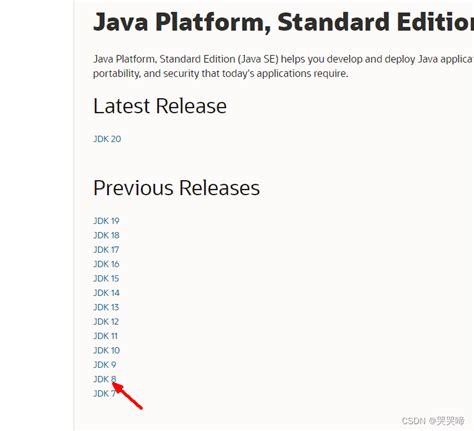 java api网址记录 csdn博客