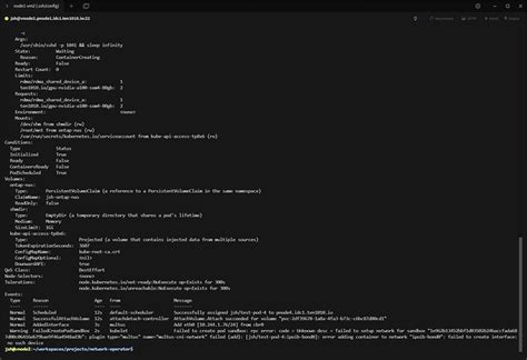 issue with allocating infiniband interface to pod using ipoibnetwork crd network management