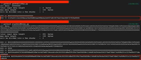 Developing Ledger Application Part 4 Generating Public Key And