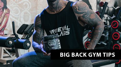 Which Grip For Bigger Back Muscle Gains Primeval Labs