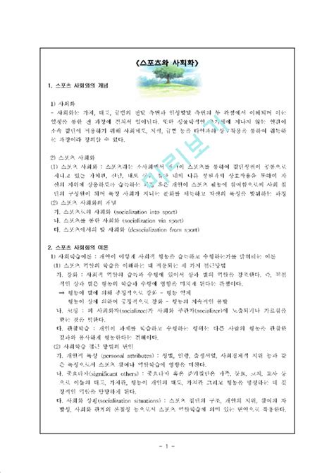 스포츠와 사회화인문사회레포트