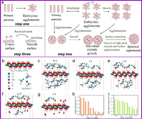 A The Agglomeration Dissolution And Re Crystallization Model Yang