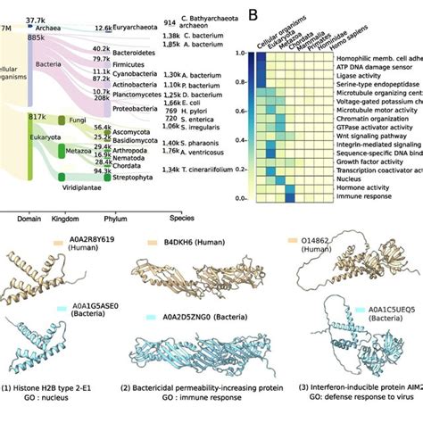Putative Novel Enzymes And Small Molecule Binding Proteins In Download Scientific Diagram