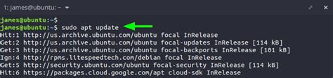 How To Install Jupyter Notebook On Ubuntu Linuxways