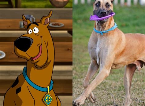 Алдартай хүүхэлдэйн киноны амьтад бодит амьдрал дээр