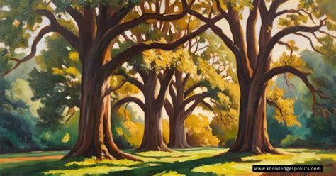 33 Powerful Tree Metaphors Nature S Life Lessons