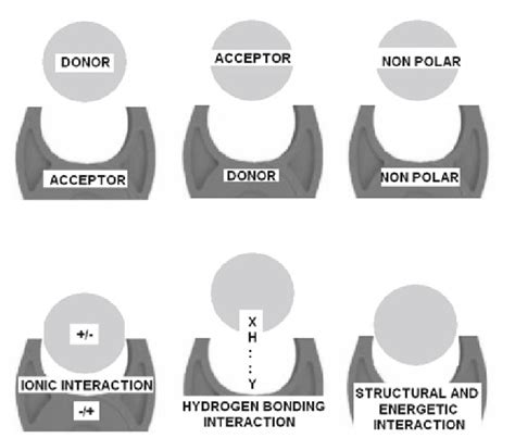 Different Types Of Supramolecular Interactions In Host Guest Complexes Download Scientific Diagram