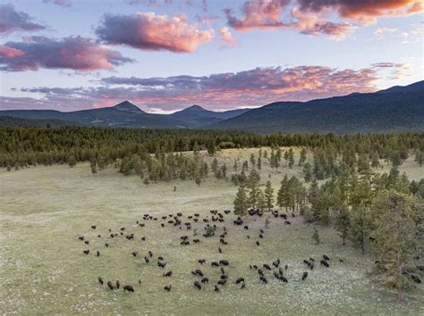 Welcome To Vermejo Park Ranch Ted Turners Conservation Legacy