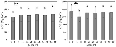 Estimation And Spatial Distribution Of Individual Tree Aboveground