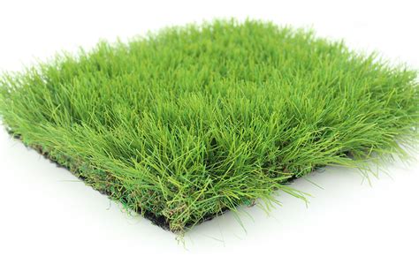 Landscaping Flat Queen Relyir