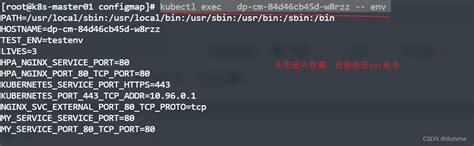 第8章 k8s基础篇 配置管理 kubectl create cm csdn博客