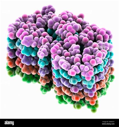 Complete Amyloid Beta 1 42 Protein Computer Model Showing The Fibril