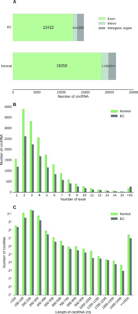 Characteristics Of Genomic Structure And Location Of Circular RNAs Download Scientific Diagram