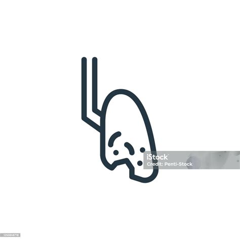 폐 벡터 아이콘입니다 폐 편집 가능한 뇌졸중 웹 및 모바일 앱 로고 인쇄 매체에 사용하기 위한 폐 선형 기호입니다 얇은 선 그림 벡터 격리 된 윤곽선 도면입니다 건강관리와