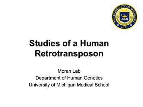 Fifty Years Of Reverse Transcriptase John V Moran The Impact Of