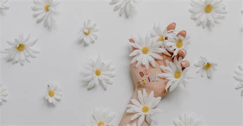 Vbs 가톨릭 거룩한 거룩한 책 경건한 고요한 고요함 교회 균형 그리스도 기도 기도하다 기독교 기독교 배경 기독교 벽지 기독교의 꽃 꽃꽂이