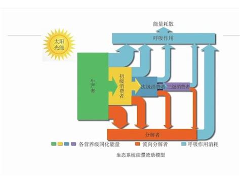 科兴测试平台委托实验