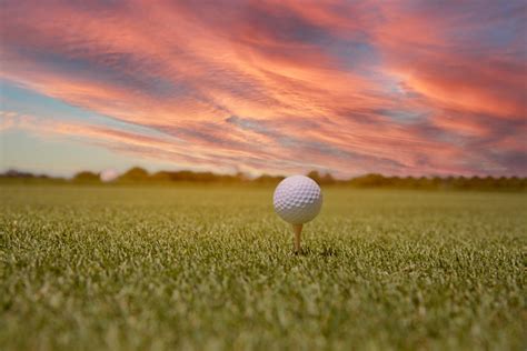 골프 코스 배경 녹색 나무 태양 광선구멍 근처 골프 핀 녹색 잔디에 흰색 골프 공 0명에 대한 스톡 사진 및 기타 이미지 0명 경쟁 골프 Istock