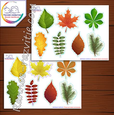 Дидактическая игра «Листья деревьев Скачать шаблон Раннее развитие