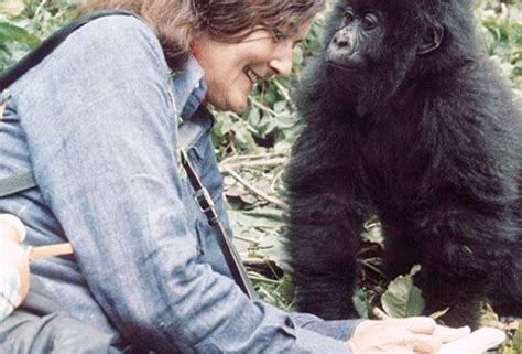 Pukeko Poo On Her Machine Gun