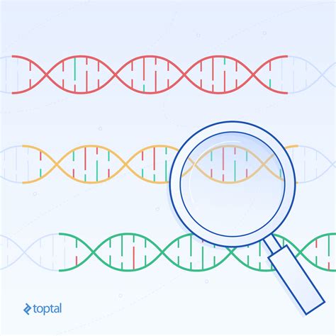Genetic Algorithms Search And Optimization By Natural Selection Toptal