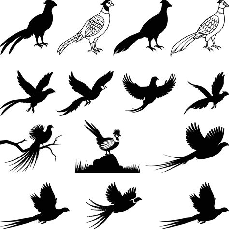 Pheasant Flying Silhouette Vectors Silhouette 53656316 Vector Art At