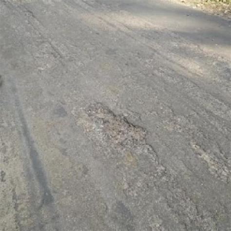 Test Set Object Detection Dataset By Object Detection