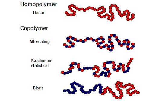 5 Representation Of The Homopolymer And Varieties Of Copolymers Download Scientific Diagram