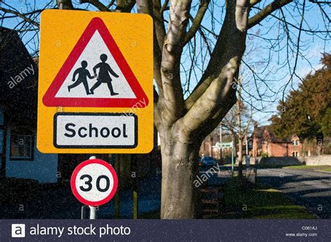 Pp Object Detection Dataset By Project Yckis